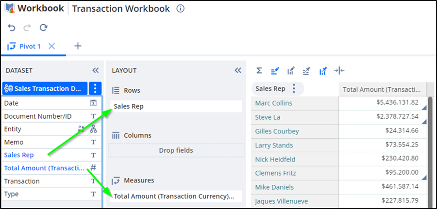 Own Your NetSuite with Analytics Workbooks: Create a dataset and workbook